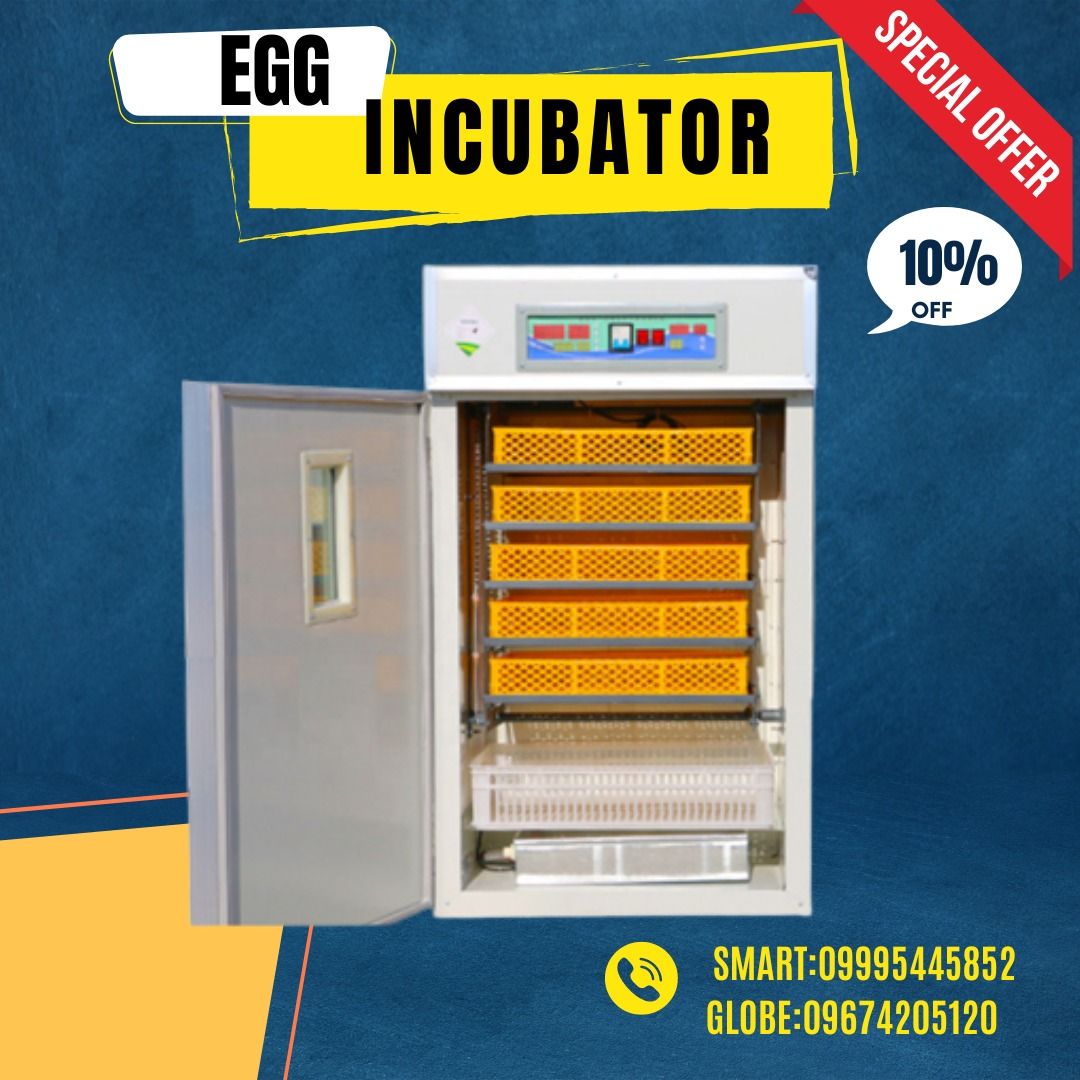 EGG INCUBATOR on Carousell