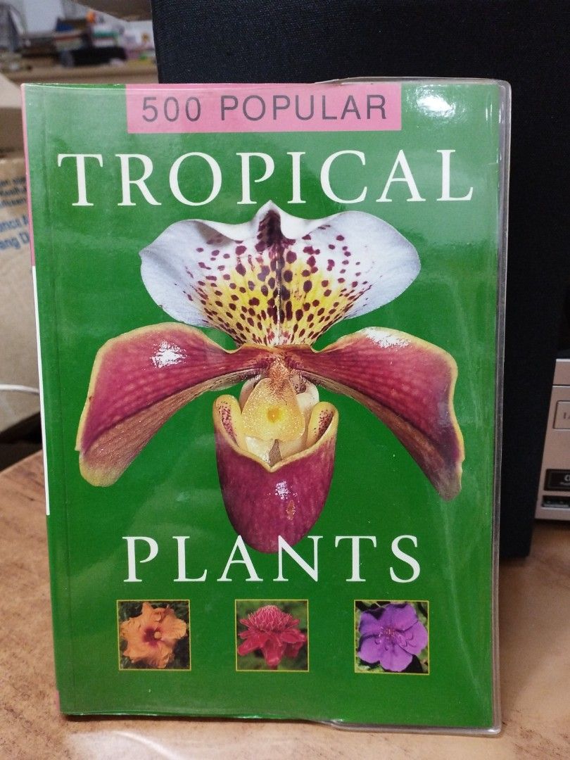 (ENG) 500 Popular Tropical Plants, Hobbies & Toys, Books & Magazines ...