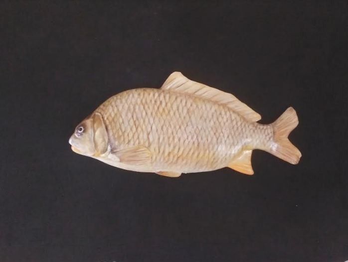 "fabricate fish" enlarge sizes fish model for display"Will made ...