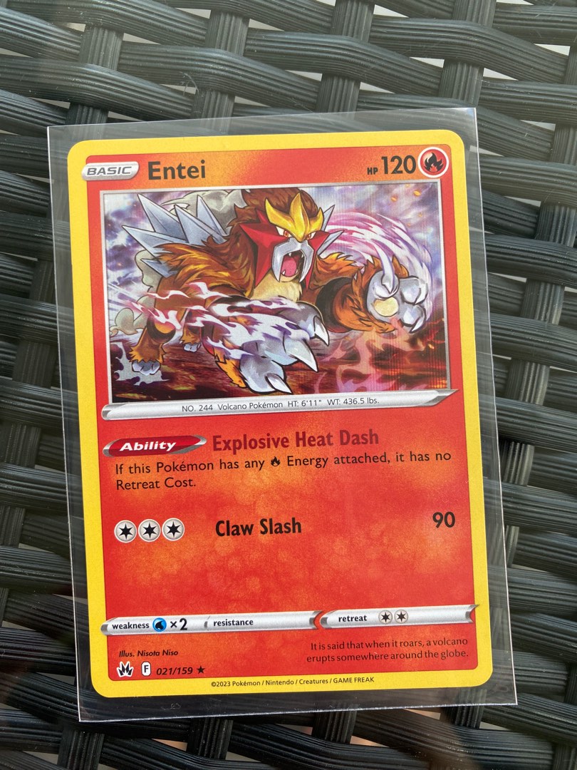 Entei Pokémon 2023, Hobbies & Toys, Toys & Games on Carousell