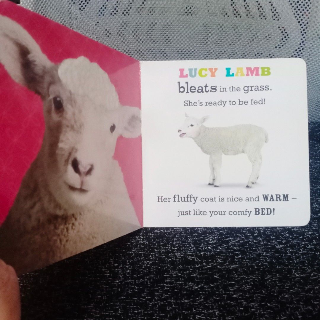 Farm Animals Touch and Feel Book on Carousell