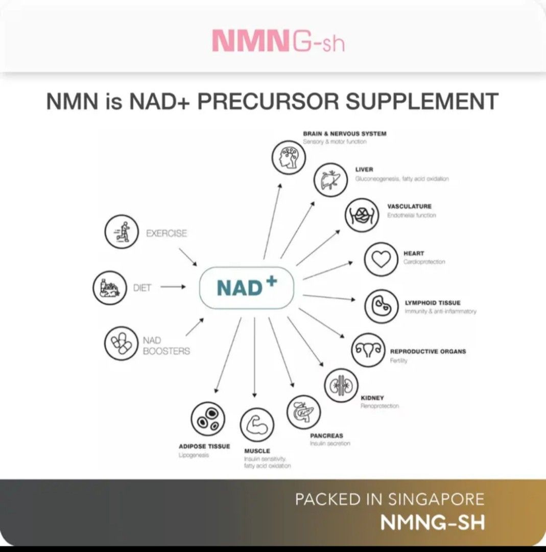 NMNG-sh Nicotinamide Mononucleotide, Health & Nutrition, Health ...