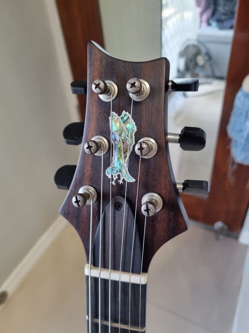 PRS Private Stock Replica Project, Hobbies & Toys, Music & Media ...