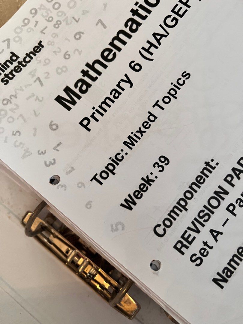 Psle p6 mind stretcher maths MS primary 6 mathematics not TLL , Hobbies ...