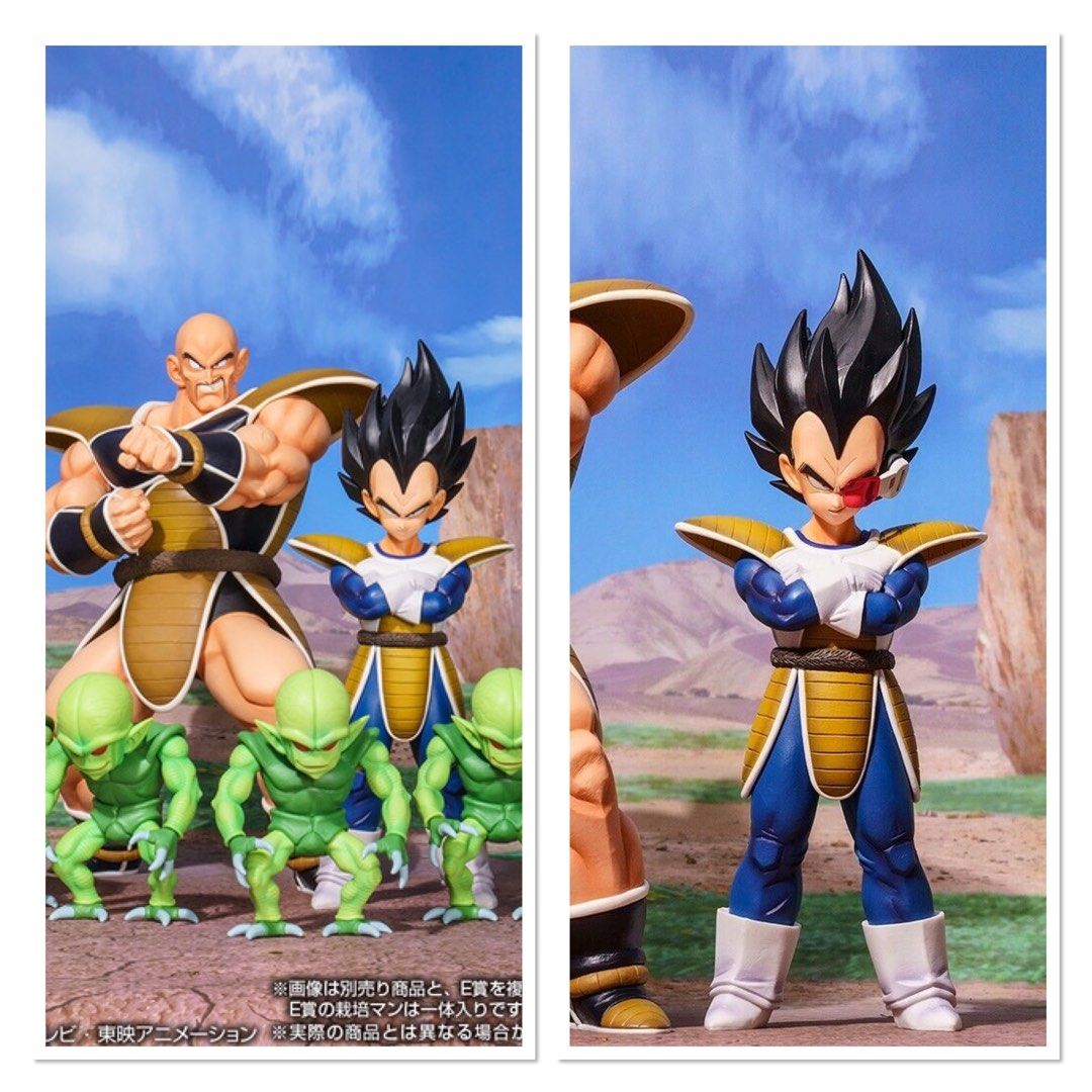 scout vegeta