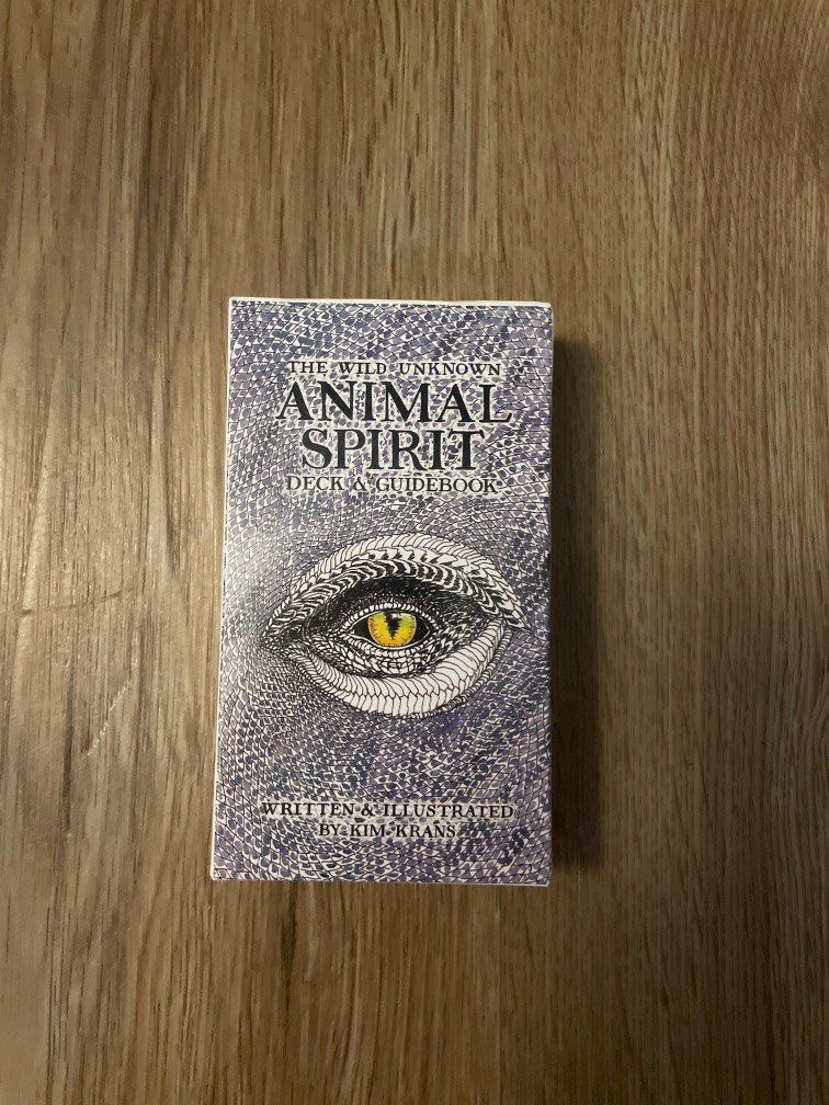 10 deck beginner taro SET, Hobbies & Toys, Memorabilia & Collectibles ...