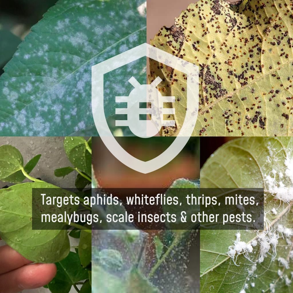 500ml Neem Oil Organic Fungicide Miticide Insecticide Ready To Use ...