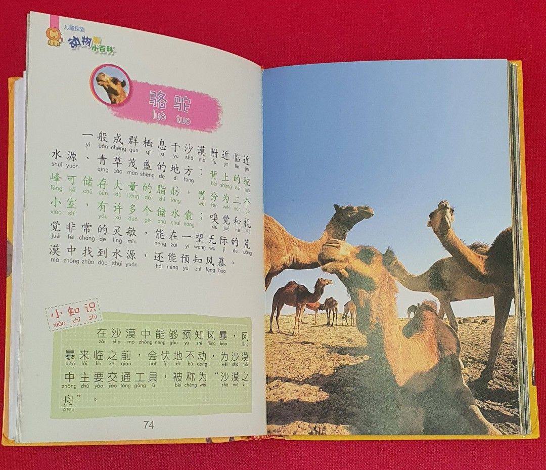 2 x Animals World Encyclopedia (Chinese with Hanyu Pinyin) (P3 to P6 ...