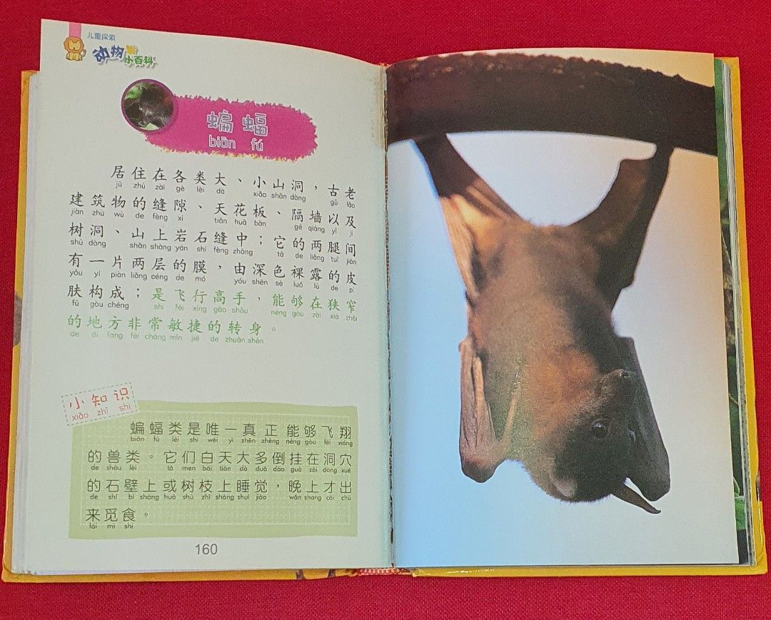 2 x Animals World Encyclopedia (Chinese with Hanyu Pinyin) (P3 to P6 ...