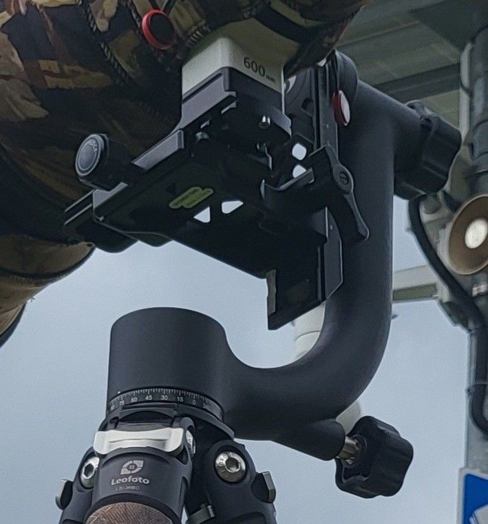 Benro Gh2 gimbal for supertele lenses, Photography, Photography ...