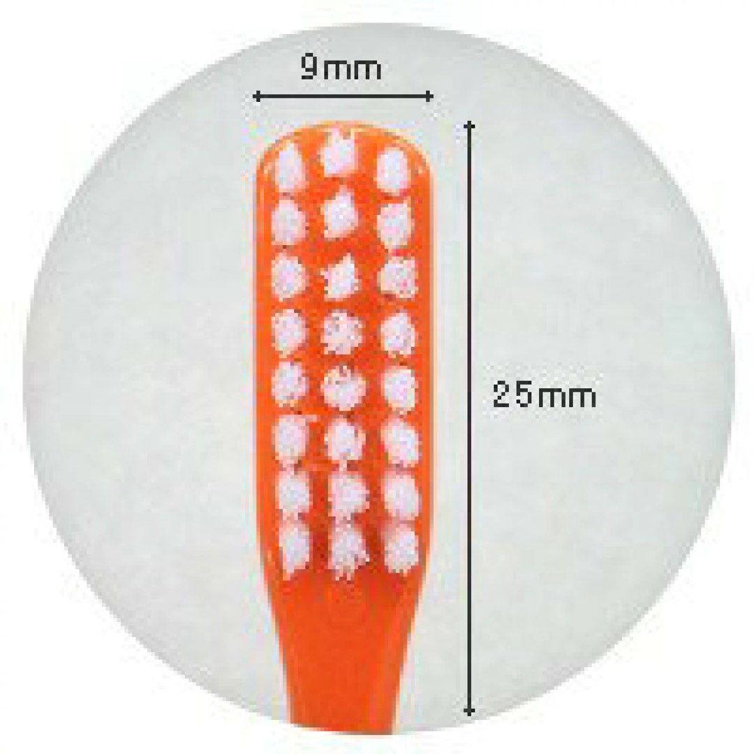 (Set of 3) Made in Japan Dental Clinic Exclusive Compact head tooth brush, Beauty & Personal ...