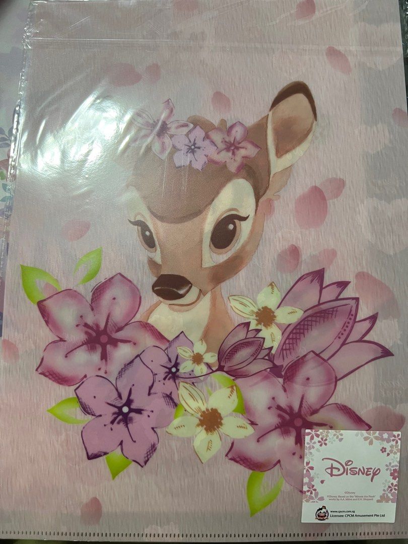 CPCM Disney A4 Folder, Hobbies & Toys, Stationery & Craft, Stationery ...