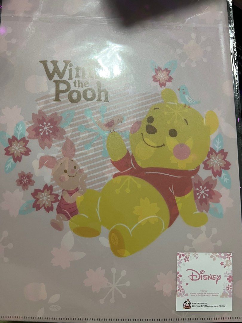 CPCM Disney A4 Folder, Hobbies & Toys, Stationery & Craft, Stationery ...