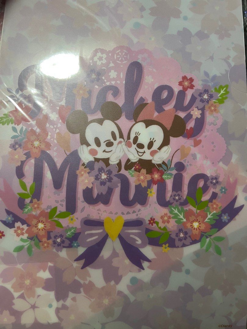 CPCM Disney A4 Folder, Hobbies & Toys, Stationery & Craft, Stationery ...