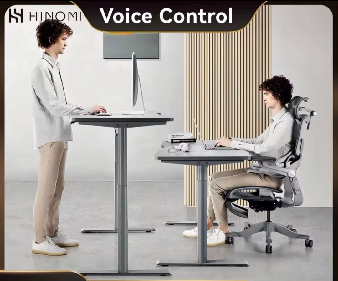 Hinomi GREY Ergonomic Smart Voice Control Lift Standing Desk / Study ...