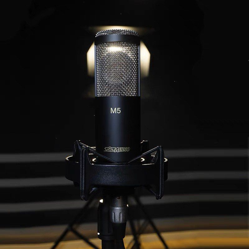 Microphone Beijing 797 Router set stand mic, Audio, Microphones on ...