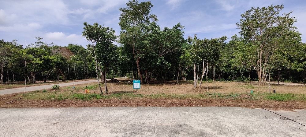 PIO - FOR SALE: 545 sqm. Vacant Lot in Lio Tourism Estate, El Nido ...