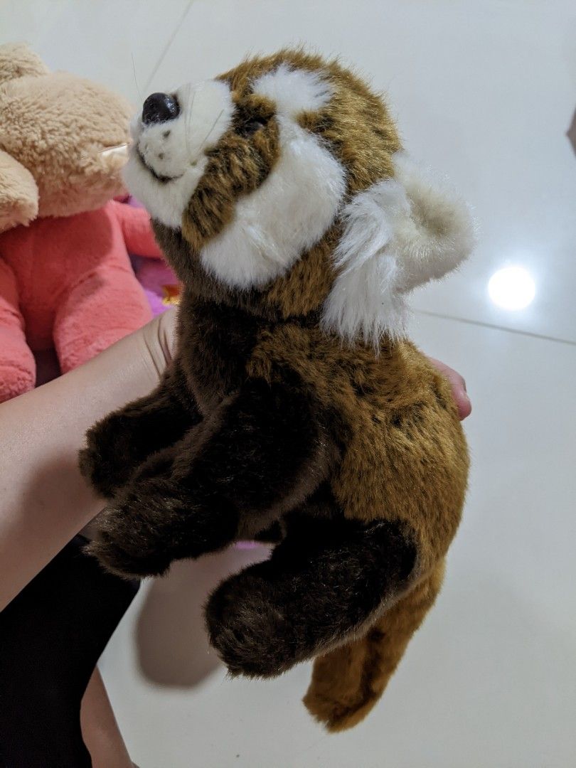 Zoo red panda soft toy, Hobbies & Toys, Toys & Games on Carousell