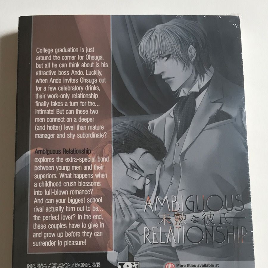 Ambiguous Relationship by Masara Minase (Official English BL Manga), Hobbies & Toys, Books ...