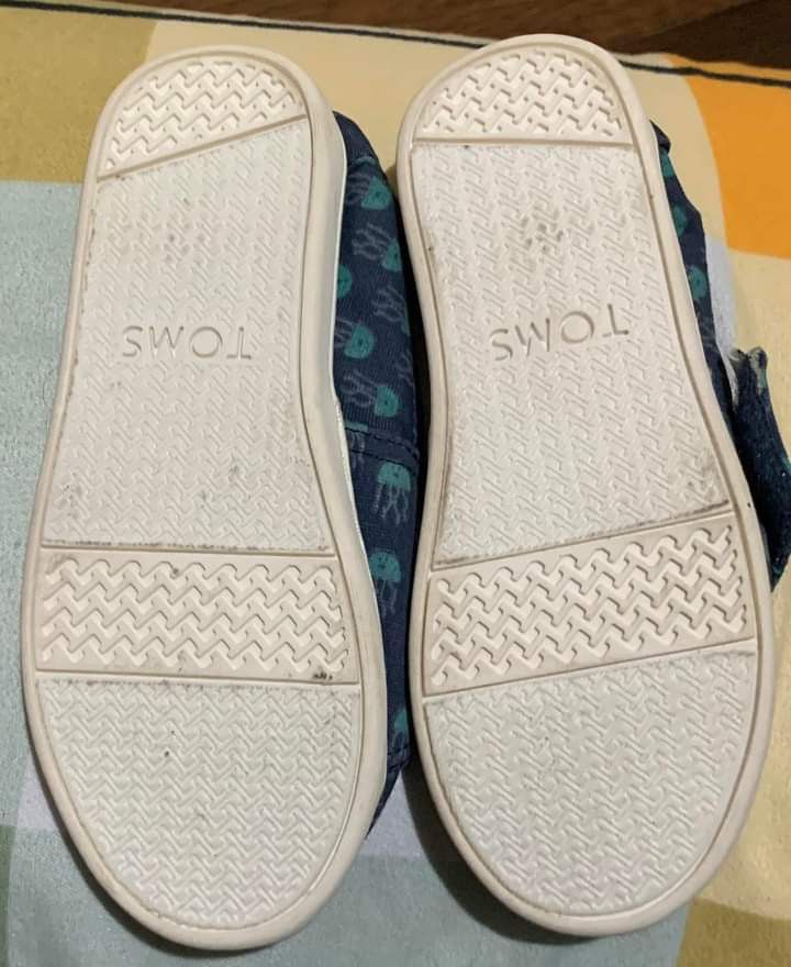 ORIGINAL VANS & TOMS on Carousell
