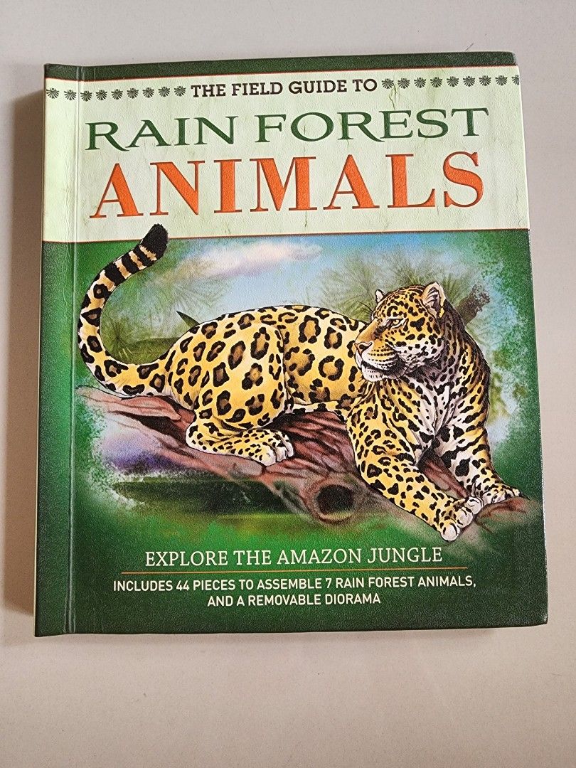 Rainforest animals book on Carousell