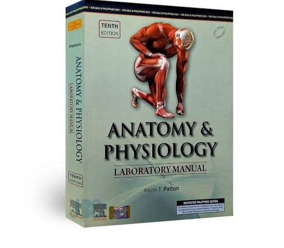 Set Seeleys Anatomy And Physiology 11th Ed And Anatomy And Physiology Lab
