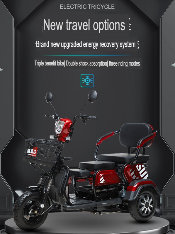 Standard electric tricycle triple benefit bike, Sports Equipment, PMDs ...