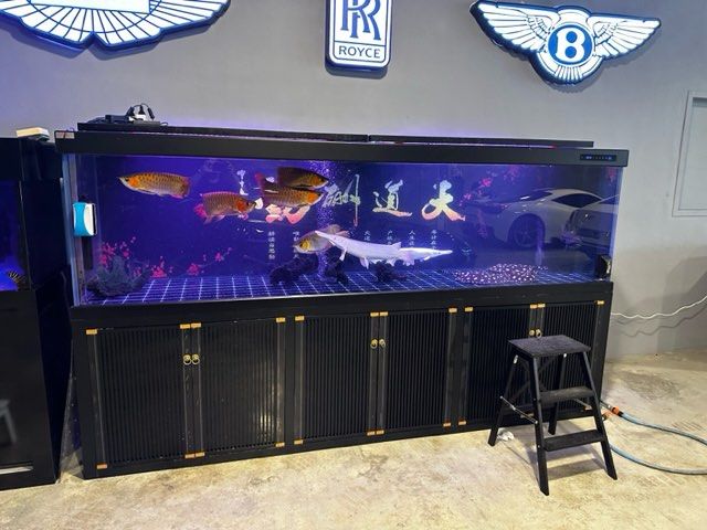 3m long crystal glass fish tank for sale, Pet Supplies, Homes & Other ...