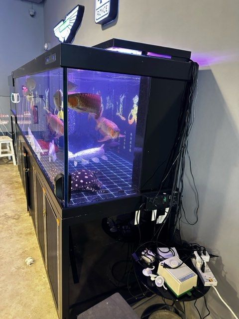 3m long crystal glass fish tank for sale, Pet Supplies, Homes & Other ...