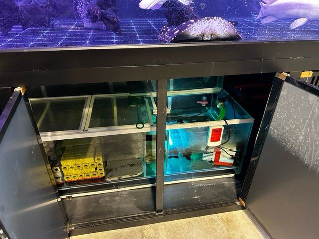 3m long crystal glass fish tank for sale, Pet Supplies, Homes & Other ...