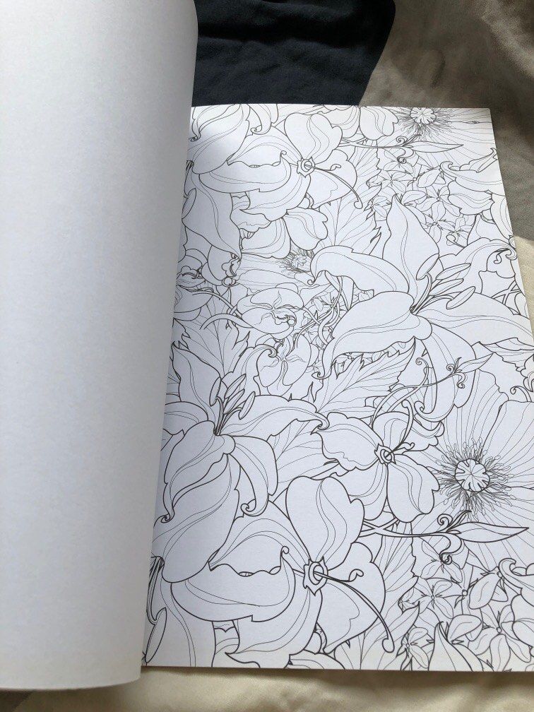 Adult coloring books color calm, Hobbies & Toys, Books & Magazines ...