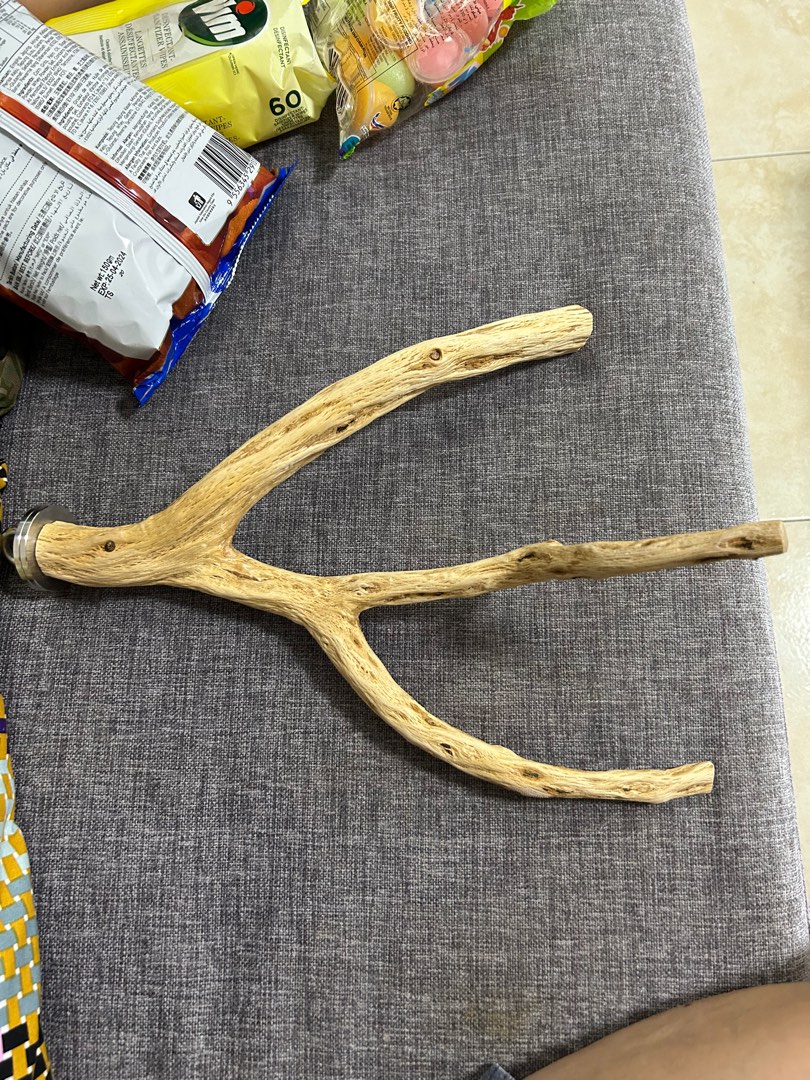 Bird standing wooden, Pet Supplies, Homes & Other Pet Accessories on ...