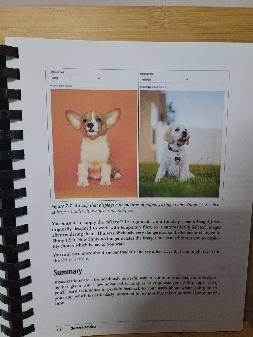 Mastering Shiny by Hadley Wickham, Hobbies & Toys, Books & Magazines, Textbooks on Carousell