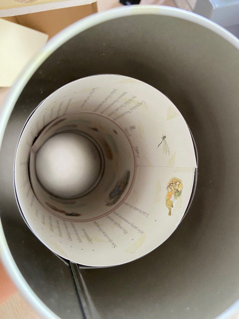 Peter Rabbit - Baby Keepsake Capsule, Babies & Kids, Maternity Care on ...