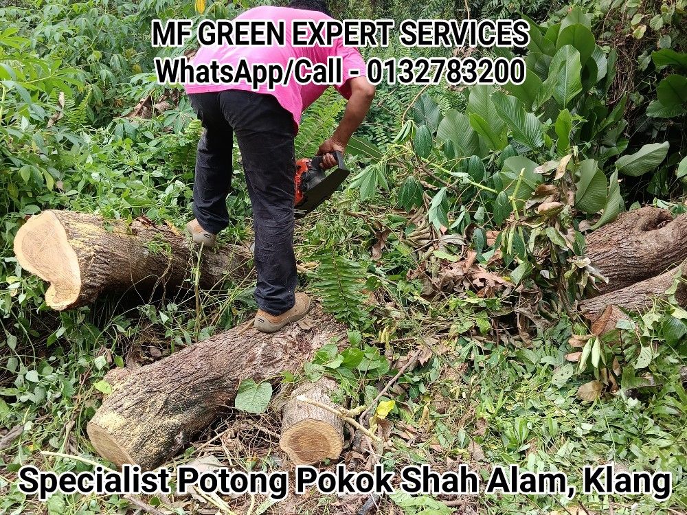 Potong Pokok, Tebang Pokok, Trim Pokok, Cutting Tree, Pruning Tree ...