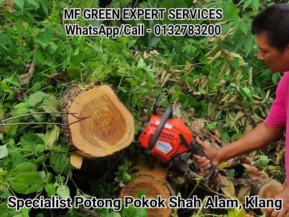 Potong Pokok, Tebang Pokok, Trim Pokok, Cutting Tree, Pruning Tree ...