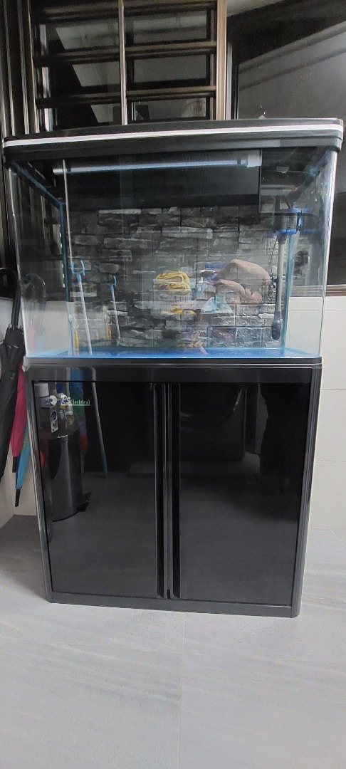 RS-800EF Fish Tank with cabinet, Pet Supplies, Homes & Other Pet ...