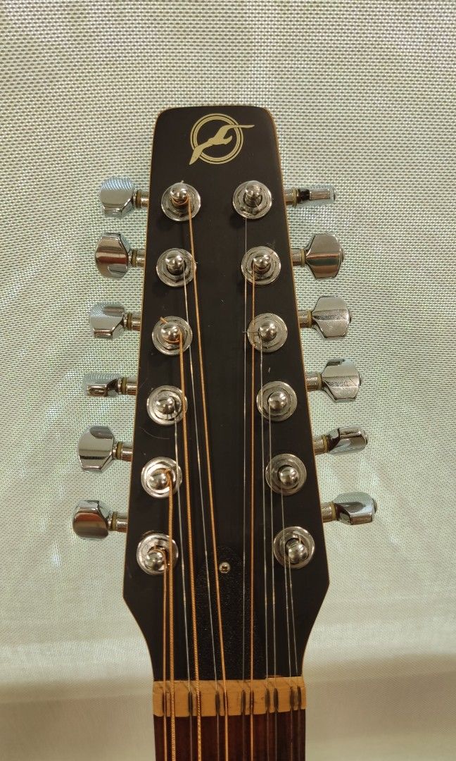 Seagull 12 String Acoustic Guitar, Hobbies & Toys, Music & Media ...