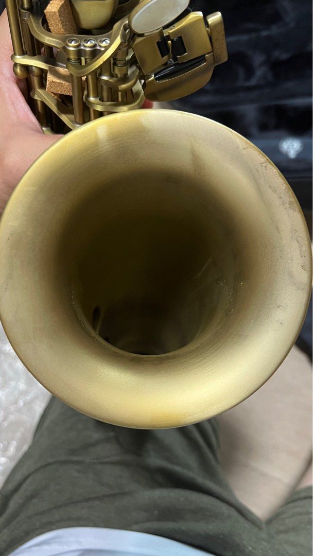 Selmer Paris Reference 54 alto saxophone, Hobbies & Toys, Music & Media ...