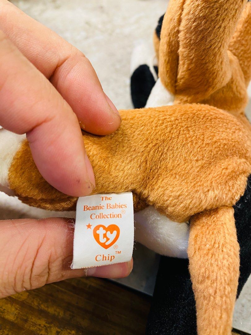 Chip Beanie Babies Collection Original, Hobbies & Toys, Memorabilia ...