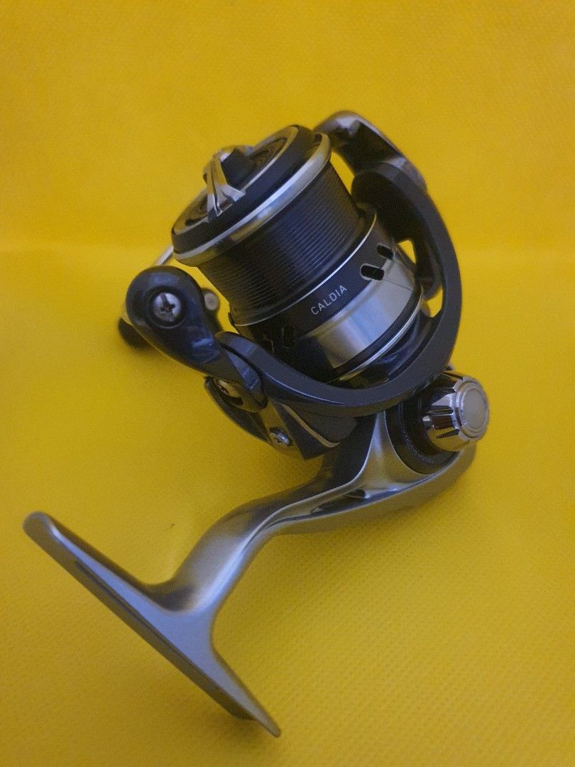 Daiwa Caldia LT1000S-P, Sports Equipment, Fishing on Carousell