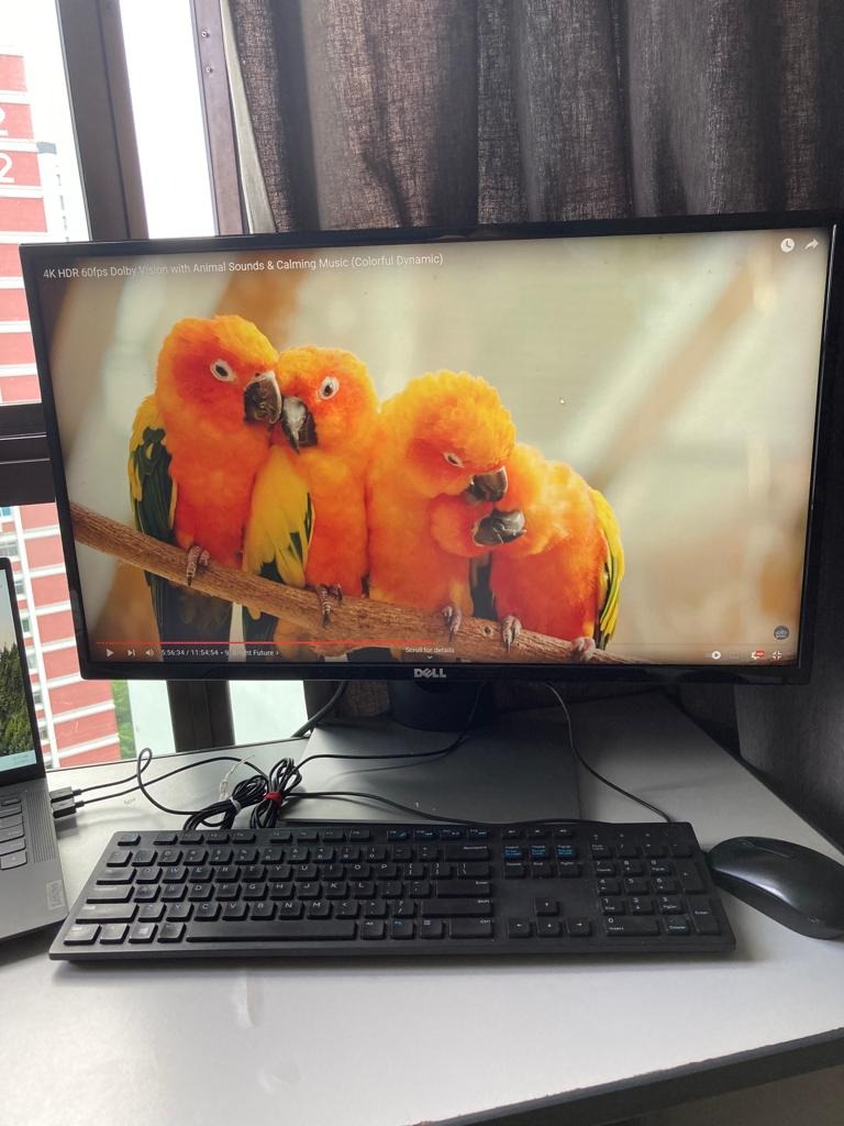 Dell SE2717H 27-inch IPS FreeSync Gaming Monitor, Computers & Tech ...