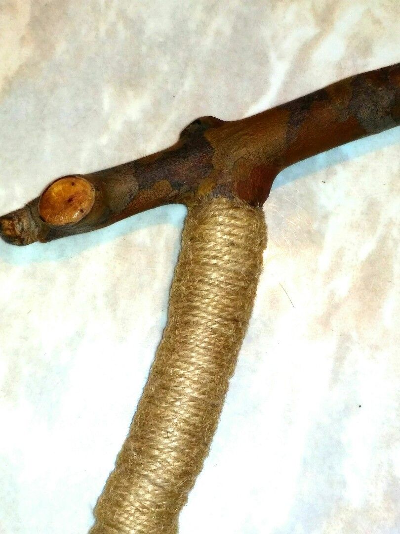 Guava Hand Perch for Parrots and Birds, Pet Supplies, Homes & Other Pet ...