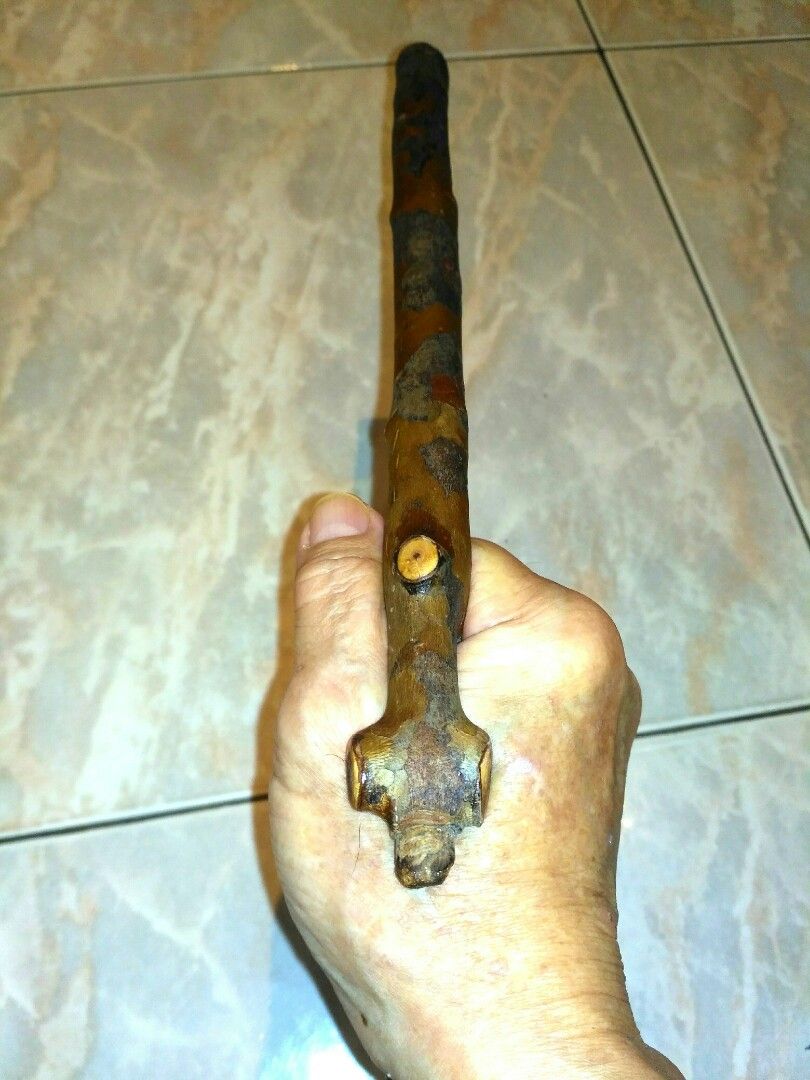 Guava Hand Perch for Parrots and Birds, Pet Supplies, Homes & Other Pet ...