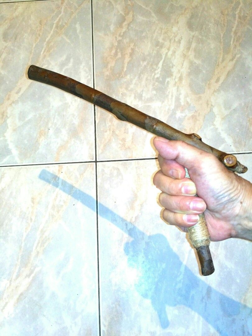 Guava Hand Perch for Parrots and Birds, Pet Supplies, Homes & Other Pet ...