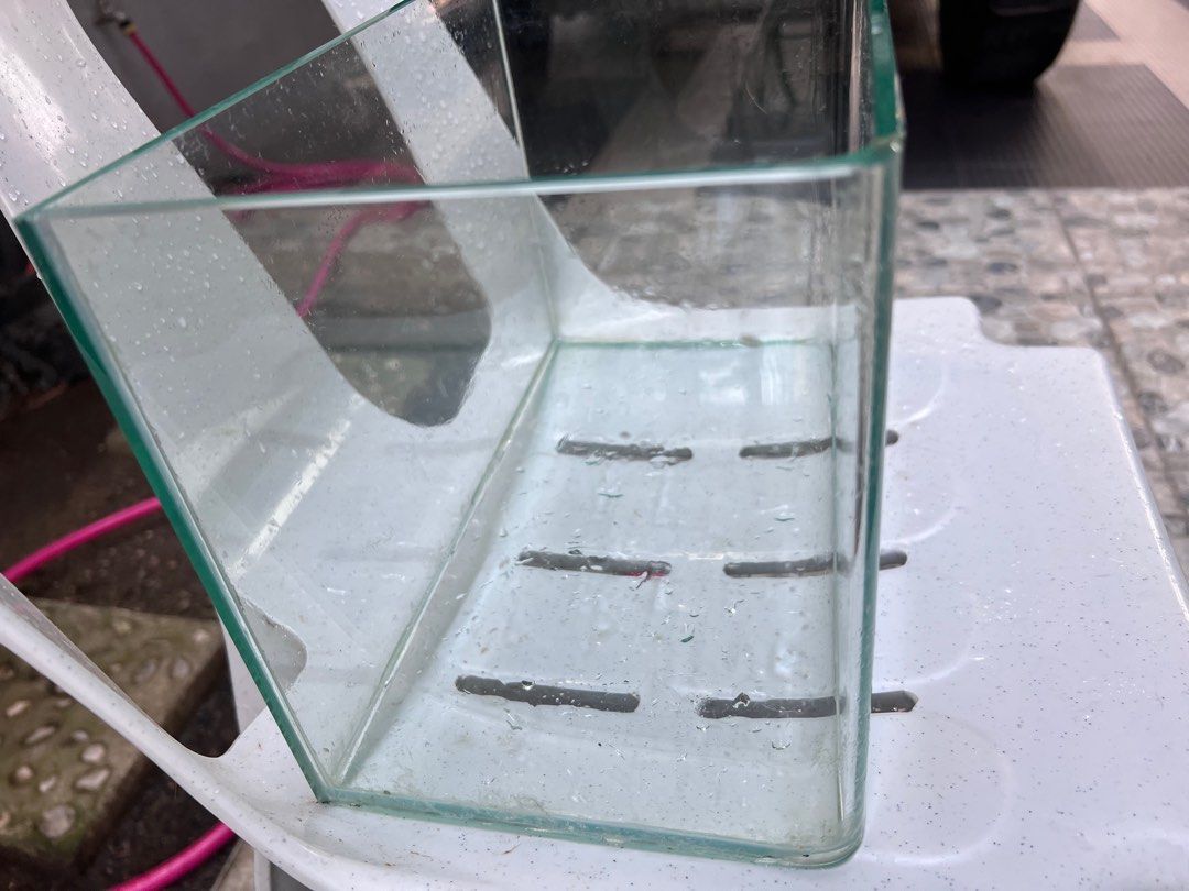 Low iron aquarium tanks, Pet Supplies, Homes & Other Pet Accessories on ...