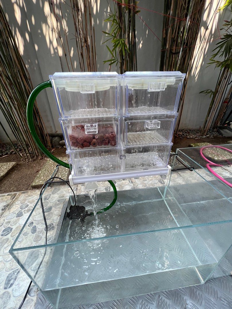 Low iron aquarium tanks, Pet Supplies, Homes & Other Pet Accessories on ...