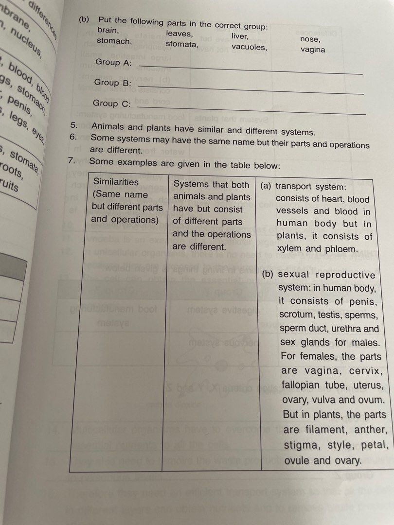 Lower Secondary Science Study Guide, Hobbies & Toys, Books & Magazines ...