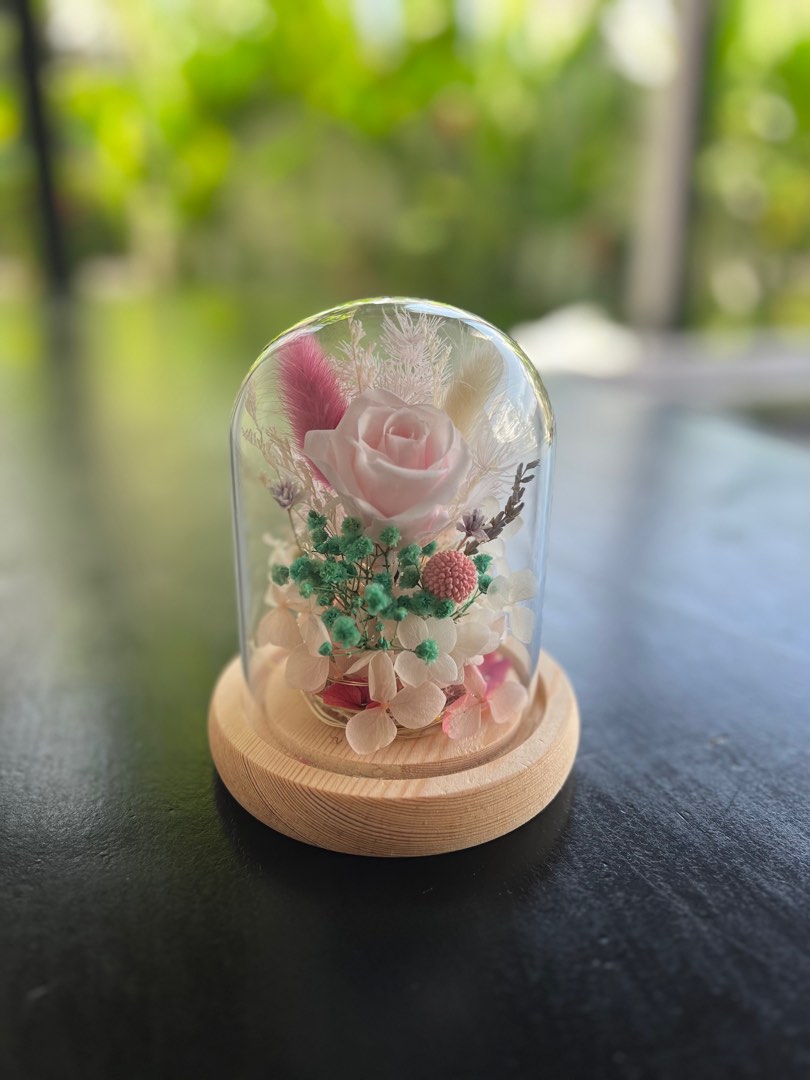 Mini flower dome with LED lights , Hobbies & Toys, Stationery & Craft ...