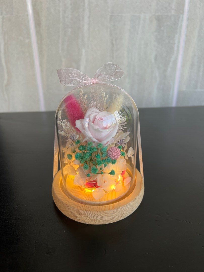 Mini flower dome with LED lights , Hobbies & Toys, Stationery & Craft ...